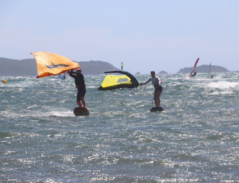 Wingfoil - Nature Kite